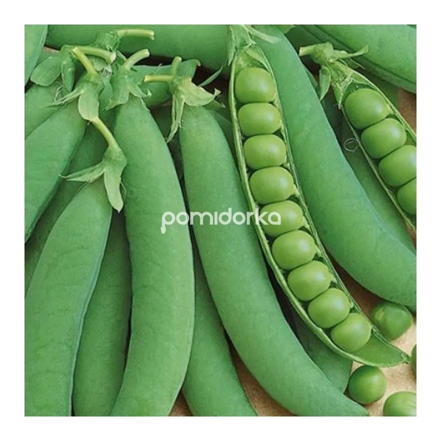 Горох ПРОДІДЖІ | PRODYDZHY Spark Seeds (Lark Seeds) - Lark Seeds купити ...