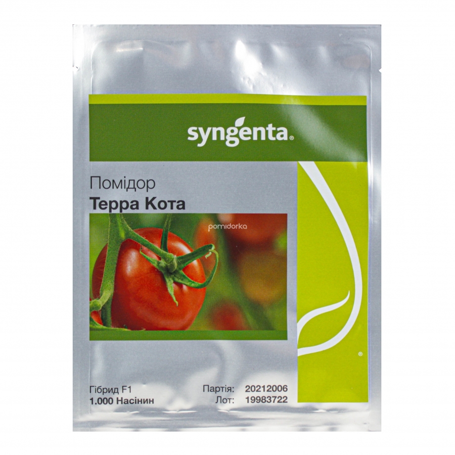 Томат ТЕРРА КОТТА F1 | TERRA COTTA F1 Syngenta - Syngenta (насіння ...
