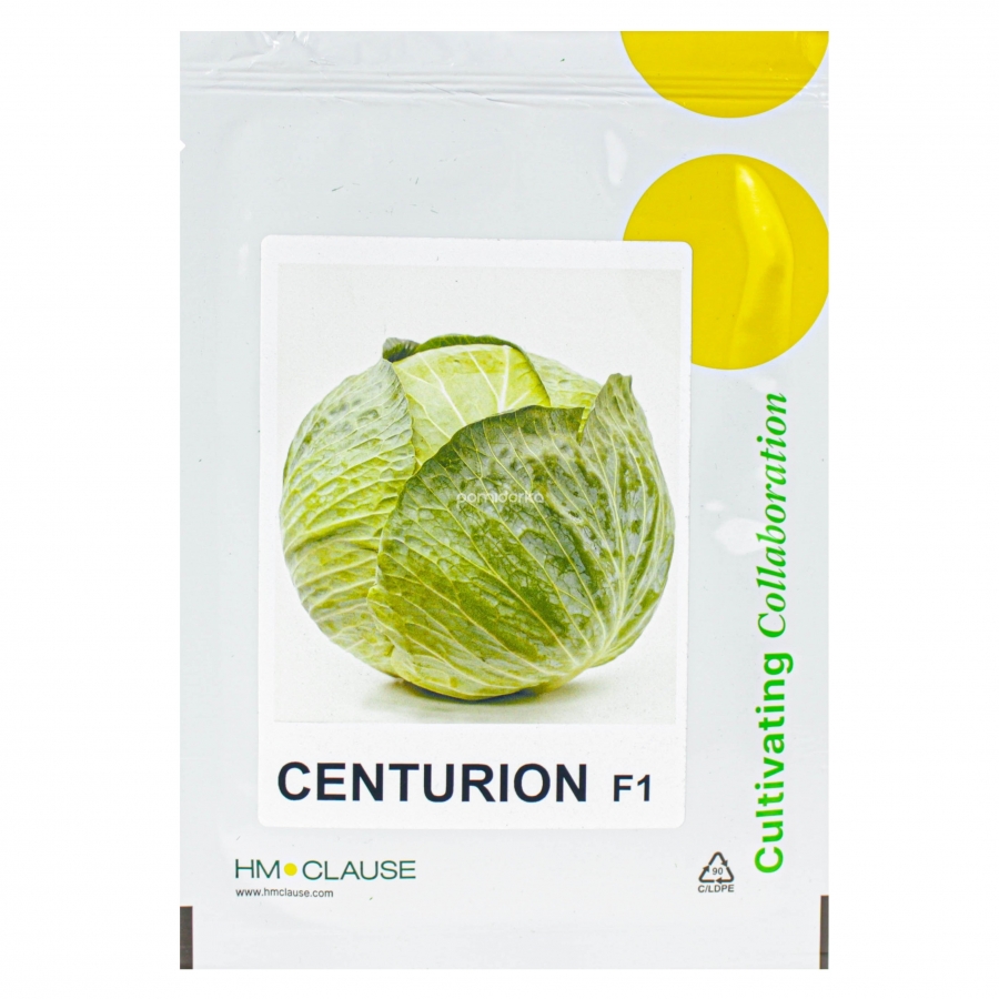 Капуста білокачанна ЦЕНТУРІОН F1 | CENTURION F1 Clause - Clause купити ...
