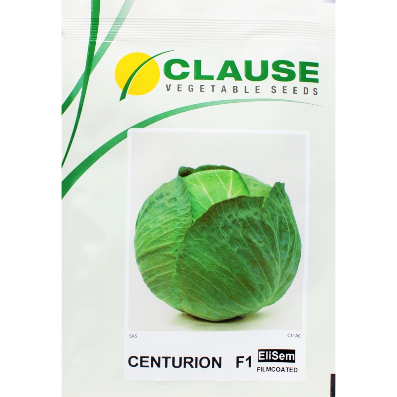 Капуста білокачанна ЦЕНТУРІОН F1 | CENTURION F1 Clause
