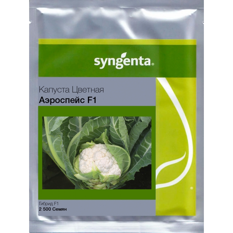 Капуста цвітна АЕРОПЕЙС F1 | AEROSPACE F1 Syngenta