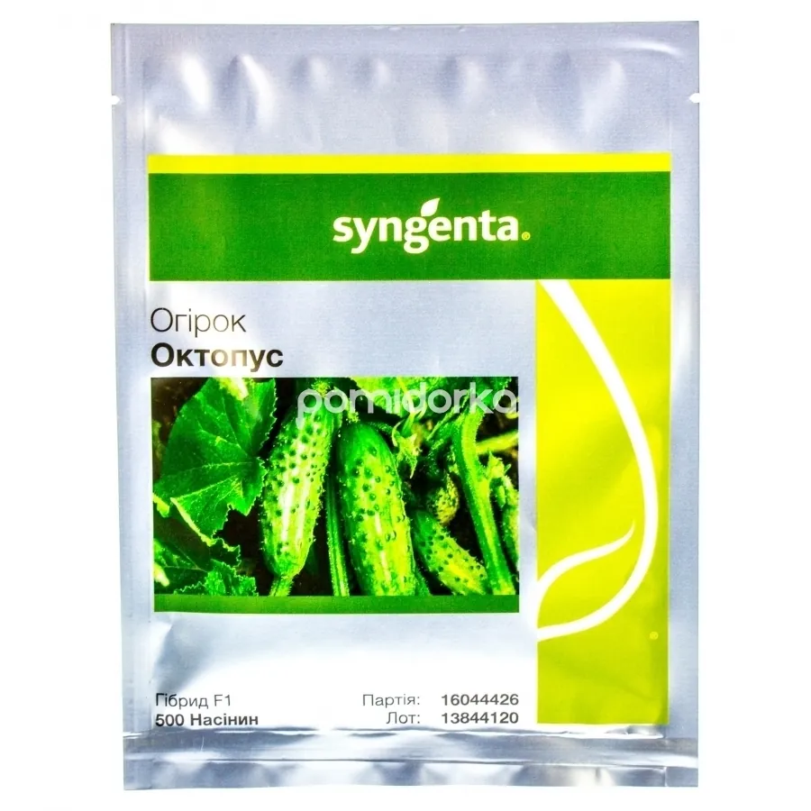 Огірок ОКТОПУС F1 | OCTOPUS F1 Syngenta